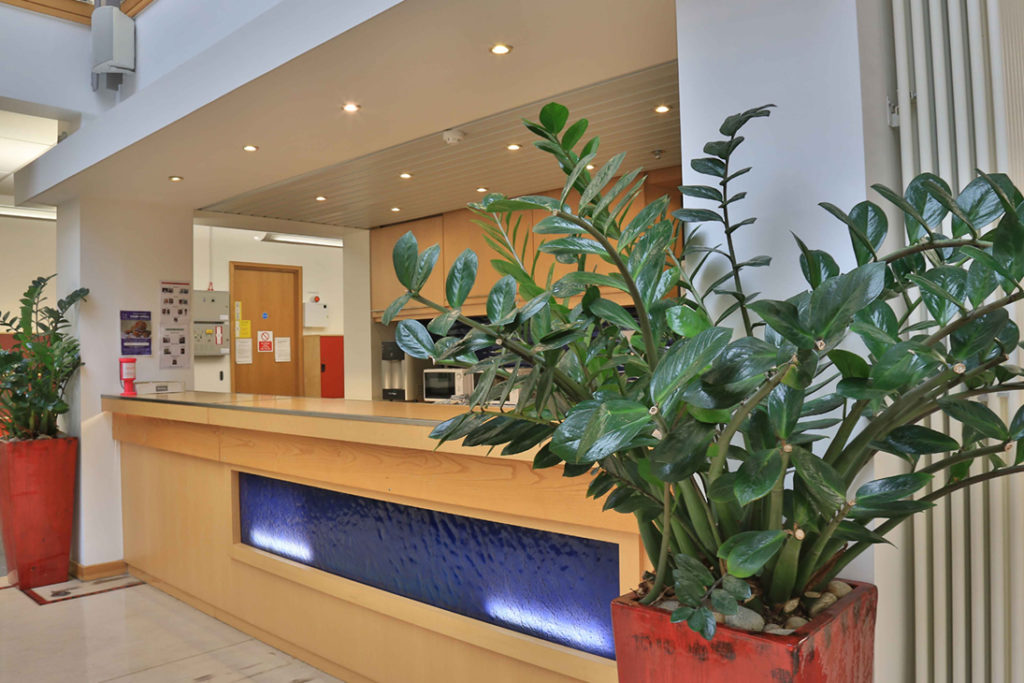 The Atrium | DLS: ARCH